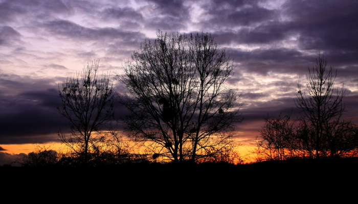 David Bertram ... so mal im ganz neuen Stil!